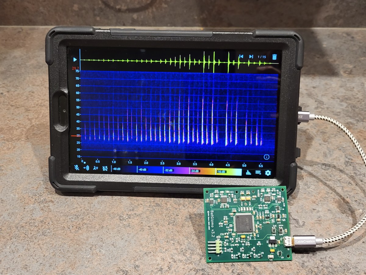 BatGizmo – A Full Spectrum Bat Detector – Twilight Travels
